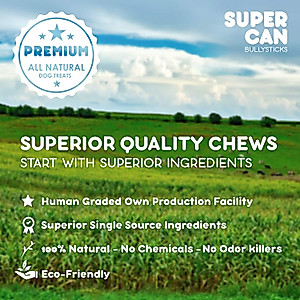 SUPER CAN BULLYSTICKS Beef Trachea Dog Chews 6'' (10 Count) | 100% Natural Farm Raised Beef Dental Treats | Non-GMO Chews for Puppies and Adult Dogs