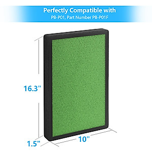 GoKBNY 2-Pack PB-P01 Replacement Filter Compatible with PB-P01 Purifier, Part # PB-P01F
