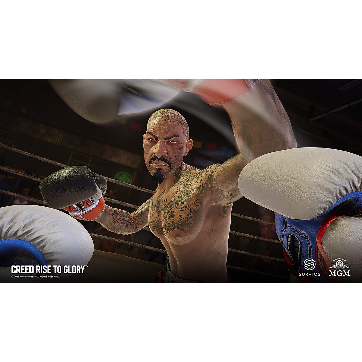 Creed: Rise to Glory PSVR (PS4) UK IMPORT