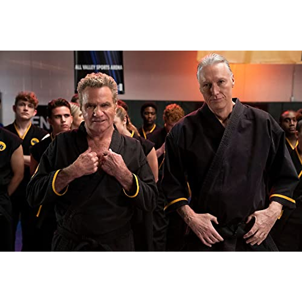 Cobra Kai Season 4 [DVD]