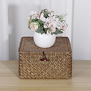 Hipiwe Wicker Shelf Baskets Bin with Lid Handwoven Seagrass Storage Basket Container Square Multipurpose Household Basket Boxes for Shelves and Home Organizer, Coffee Medium