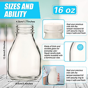 6 Pcs 16oz Glass Milk Bottles with Lids Small Milk Bottles Container with Lid for Refrigerator Storage Reusable Glass Bottles for Homemade Almond Milk Coffee Creamer Parties Breakfast Wedding Picnic