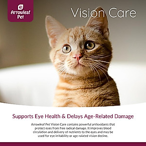 Arrowleaf Pet Vision Care by NaturPet Inc for Cats and Dogs | with Bilberry | Eye Support | 100mL Herbal Tincture