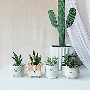 1pc outdoor planter dog flower planter containers porcelain flower planter ceramic cactus plant pots cartoon pots mini vases for flowers Ceramic Pot for Succulent pet decorations