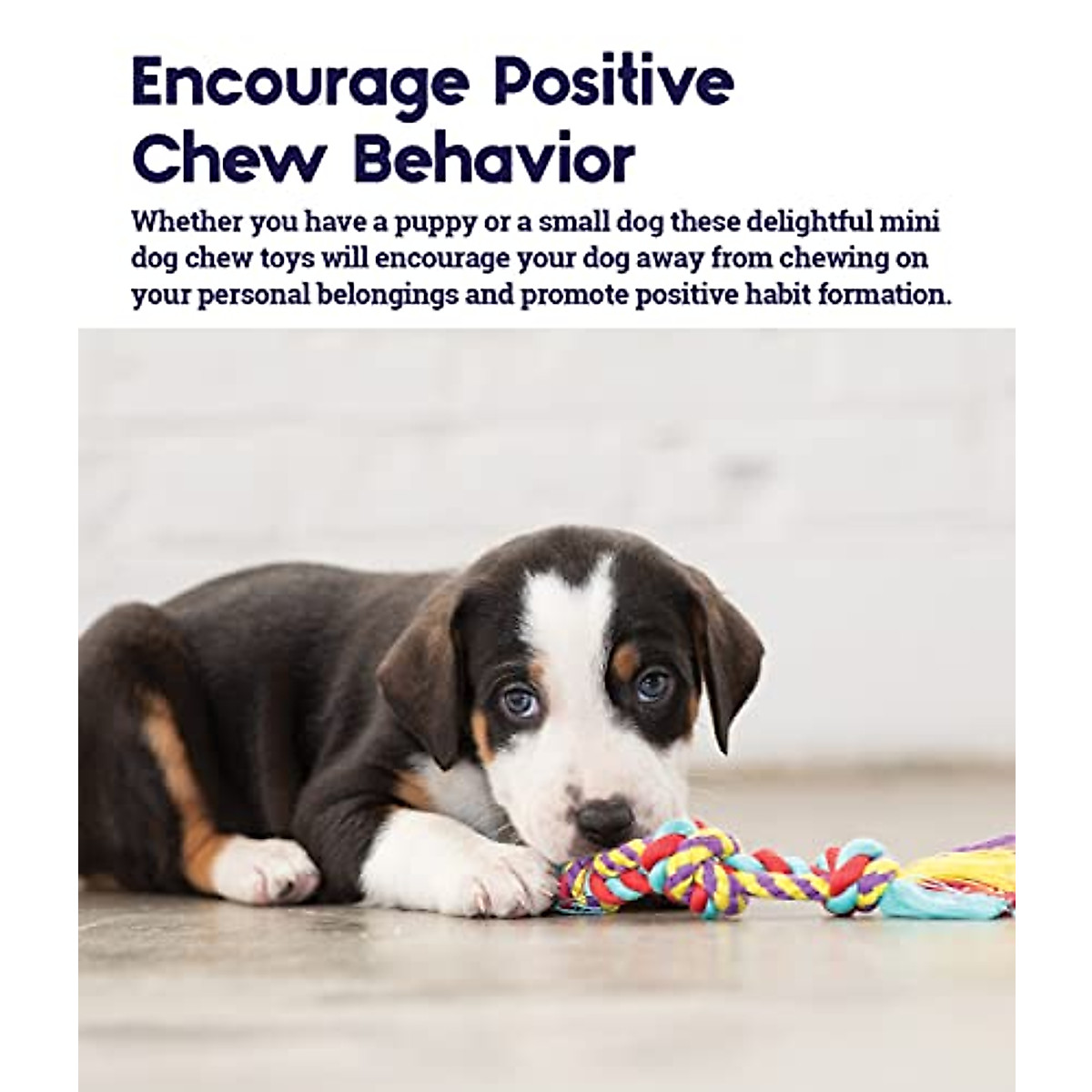 Petstages Orka Mini Dental Dog Chew Toys - 3 Pack