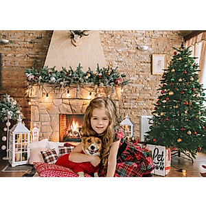 Dudaacvt 10x8ft Christmas Fireplace Theme Backdrop for Photography Christmas Photography Backdrop Merry Xmas Sock Gift Decorations Family Party Party Supplies Banner Booth Props D470