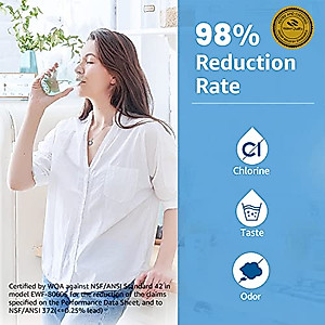 Waterdrop DW80/90 Under Sink Water Filter, Replacement for Aqua-Pure AP-DW80/90, AP-DWS1000, Kohler K-201-NA, Kohler K-202-NA (Pack of 2), Model No.WD-W60-80/90