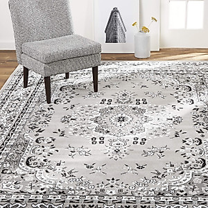 Home Dynamix Premium Sakarya Traditional Medallion Border Area Rug, Gray, 7'8"x10'7" Rectangle