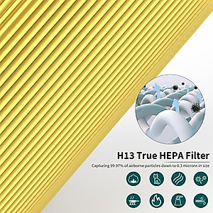 FCFMY 2 Pack AC400 Pet Care Replacement Filter Compatible with Purivortex AC400 Air Cleaner Purifier, 3-in-1 Filter of H13 True HEPA and Activated Carbon Filter, Yellow