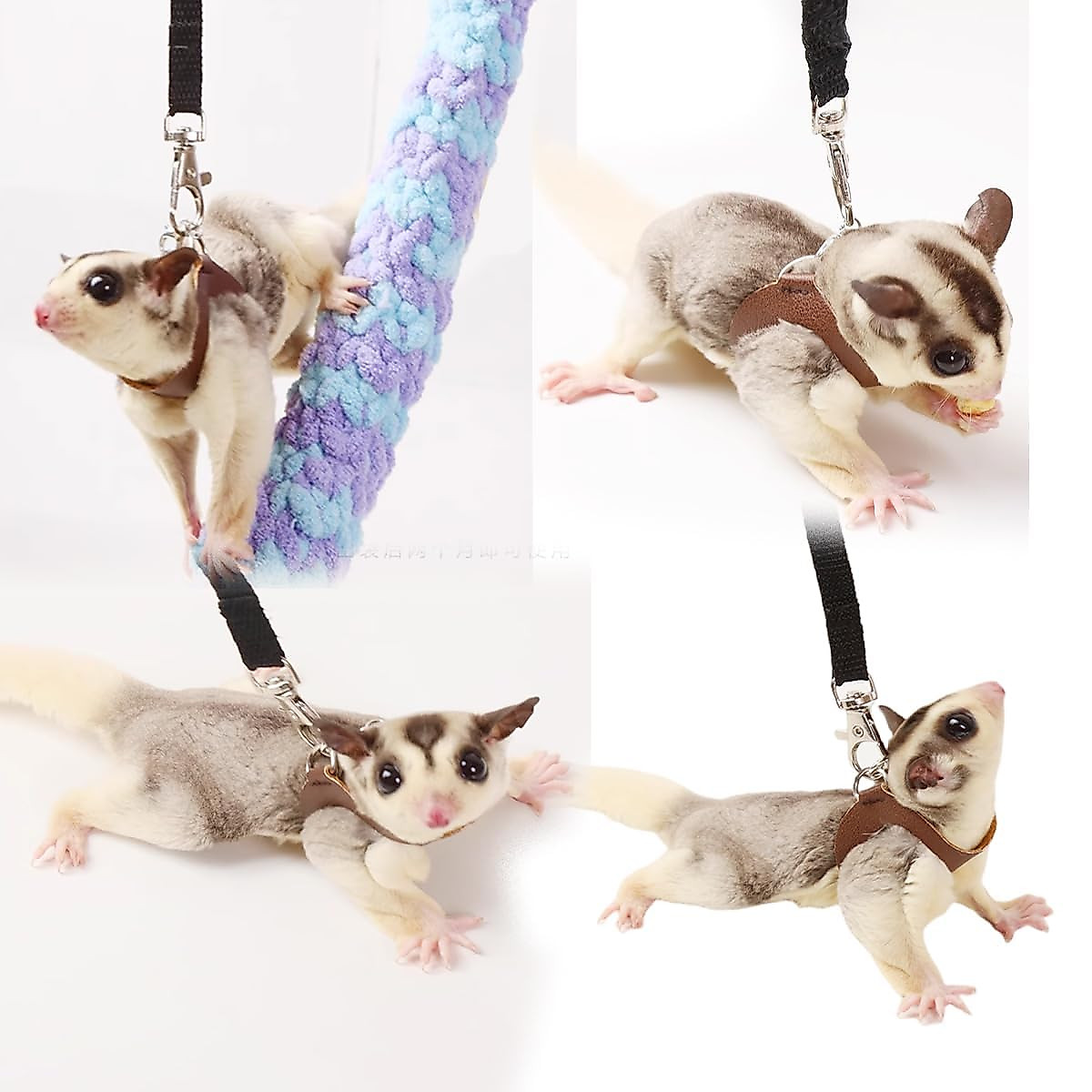MANON ROSA Sugar Gliders Harness Leash Set - 3 Pcs Training Walking Gear Small Animal Adjustable Traction Ropes Vest for Squirrels Hamsters Rats Gerbils Reptiles Bearded Dragon Lizards Black
