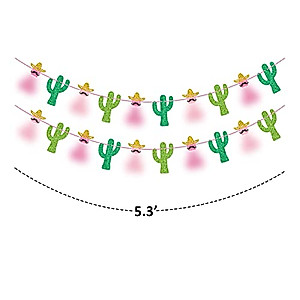 Pink Final Fiesta Banner Garland Cactus Banner for Mexican Fiesta Bachelorette Party Decorations