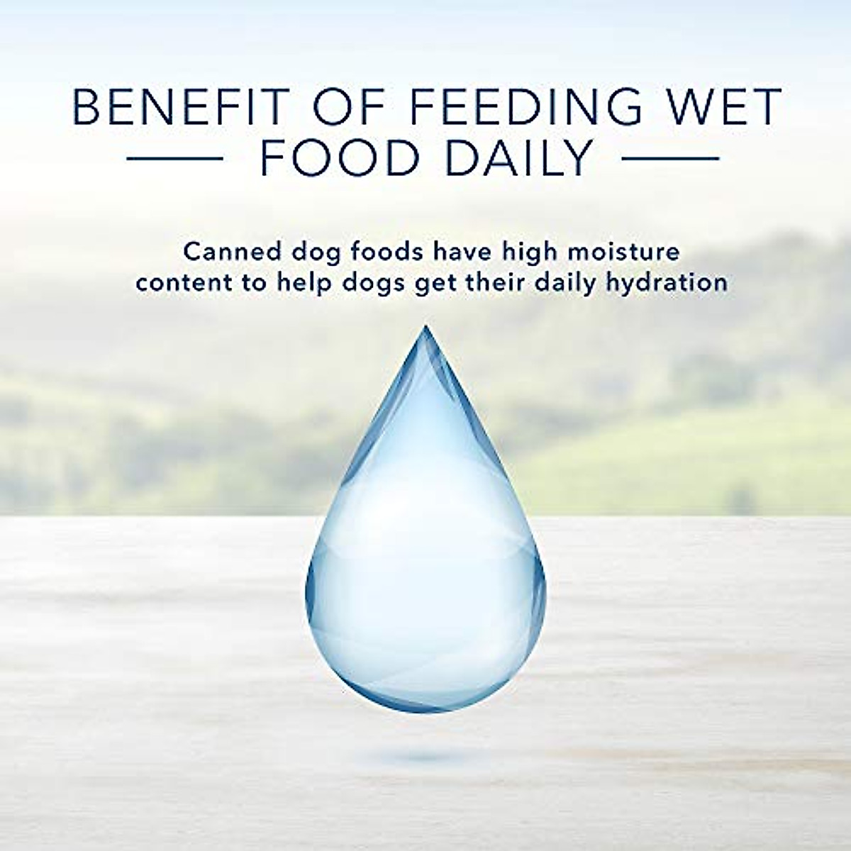 Blue Buffalo Homestyle Recipe Natural Adult Wet Dog Food, Beef 12.5-oz can (Pack of 12)