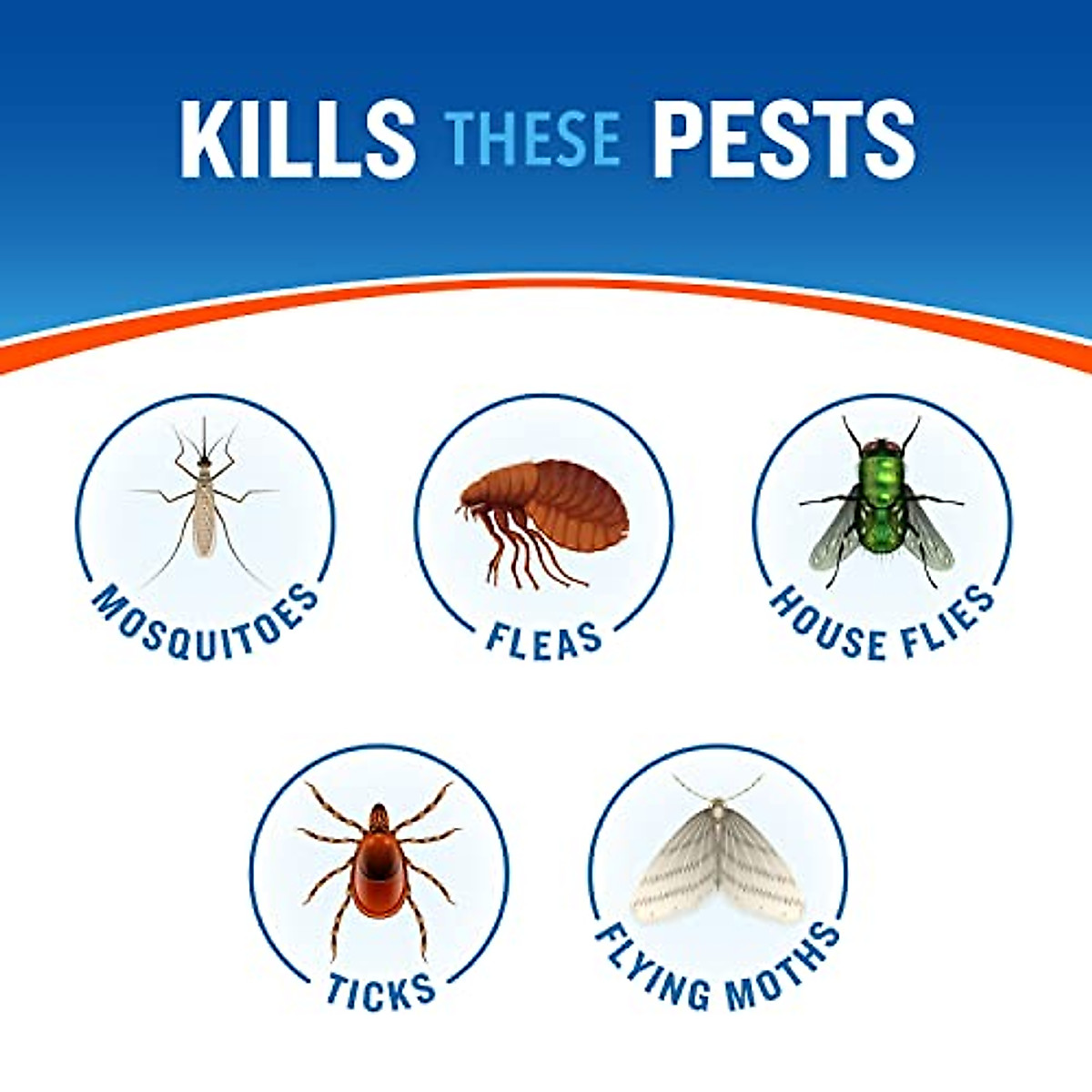 Cutter Backyard Bug Control Spray Concentrate (6 Pack), Kills Mosquitoes, Fleas & Listed Ants, 32 fl Ounce