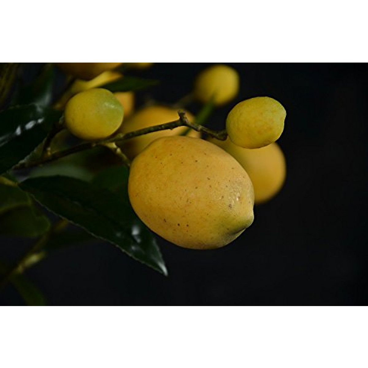 GiDiProtea Artificial Lemon Branch Yellow Vivid Artificial Fake Lemon Flower Home Party Garden Decoration 2Pcs 7 Lemons