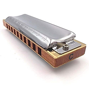 WAAZVXS Harmonica Blues Harp Diatonic Harmonica 10 Hole 20 Tone Musical Instruments Mouth Organ Key C