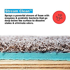 Urine Gone Stream Clean, Heavy Duty Carpet Stain & Odor Eliminator Deep Cleans with Fast Acting Natural Enzymes + Probiotics Eliminating Stains and Odor Permanently, No Scrubbing, 18 oz. (1pack)