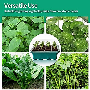 Generic Seed Starter Kit with Humidity Dome, 5 Packs, Plastic Tray, Indoor/Outdoor Usage