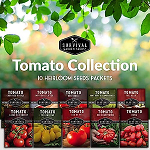 Survival Garden Seeds 10 Tomato Collection - Cherokee Purple, Roma, Red Cherry, Aunt Ruby's Green, Hillbilly, Yellow Pear, Mortgage Lifter, Red Brandywine, Ace 55-10 Packs Non-GMO Heirloom Tomatoes