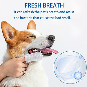 Onewly Dog Tooth Brushing Kit, 40 Count Dog Dental Teeth Cleaning Wipes for Help Wipe Away Plaque&Tartar, Freshen Breath - Pet Oral Cleansing Wipes Pads for Dogs and Cats (Milk Flavor)