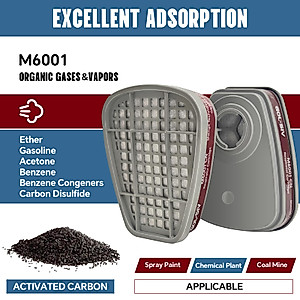 GOL-SIV Full Face Respirator Mask, Reusable Face Cover for Painting, Woodworking, Welding, Anti-fog Masks Against Gas, Dust (M6800+M6001)