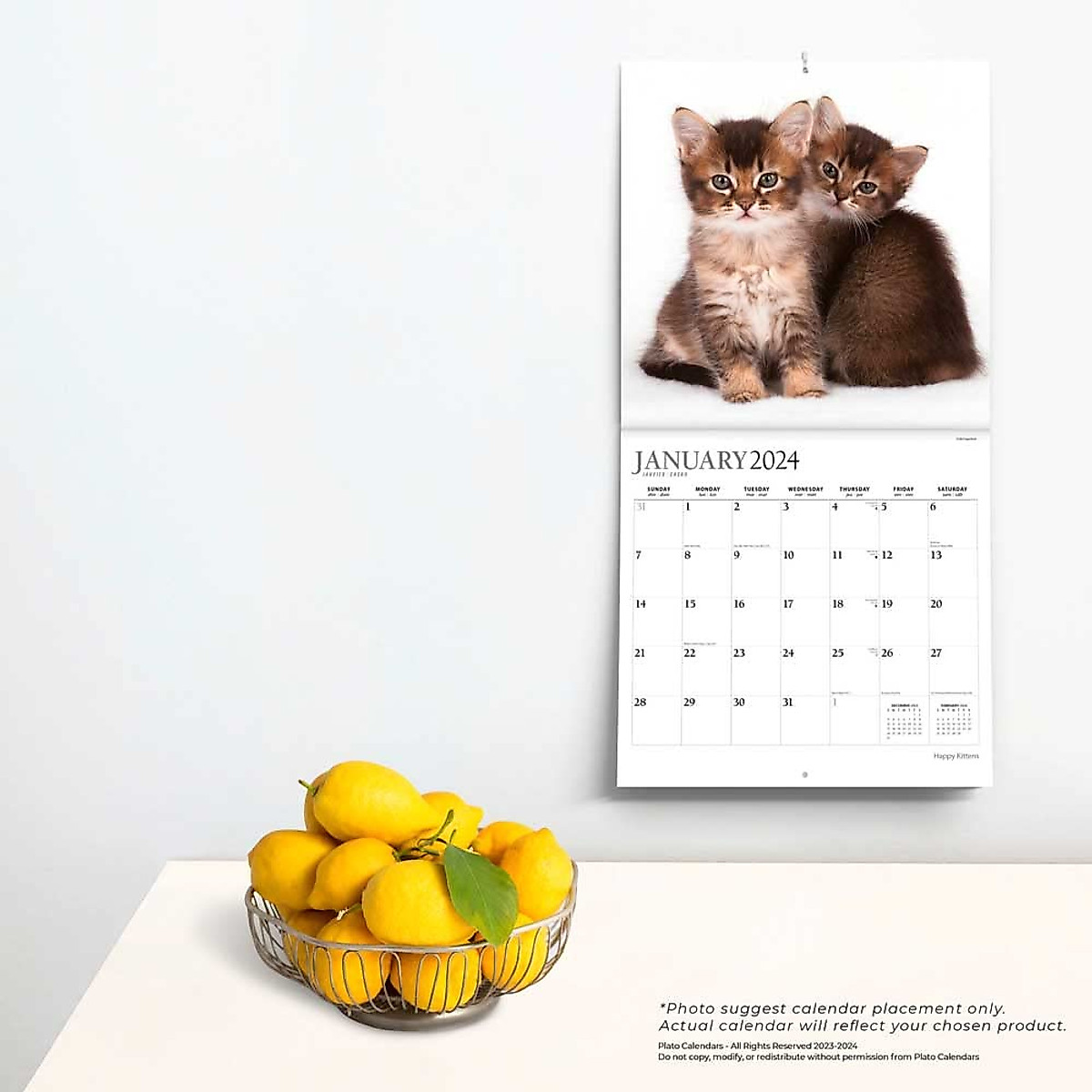 Happy Kittens | 2024 12 x 24 Inch 18 Months Monthly Square Wall Calendar | Foil Stamped Cover | July 2023 - December 2024 | Plato | Animals Cats Feline