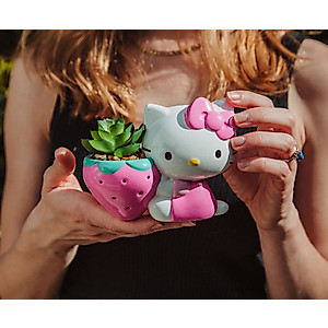 Toynk Sanrio Hello Kitty Strawberry 5-Inch Planter with Artificial Succulent