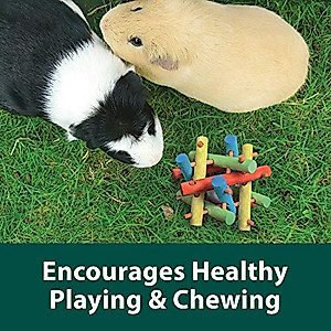 Kaytee Nut Knot Nibbler