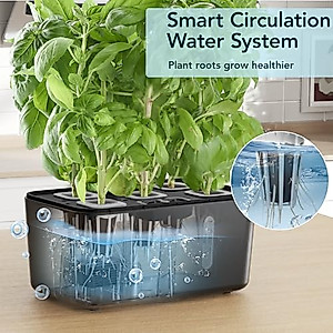 iDOO Hydroponics Growing System, 5-Pod Mini Indoor Herb Garden with Sprouter Tray, Sprouts Growing Kit for Cat Grass, LED Grow Light, Auto-Timer, Pump, Plant Germination Kit, Hydrophonic Planter Gift