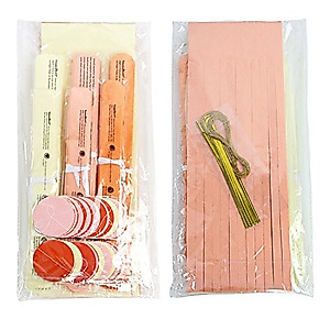 Orange Fall Party Hanging Decorations Thanksgiving Party Ceiling Hangings Wedding Decorations Tissue Paper Pom-Poms Tassel Garlands Baby Shower Birthday Party Decorations