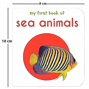 My First Library : Boxset of 10 Board Books for Kids