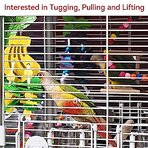 JSLZF Bird Chewing Toy for Cockatiel Conure Wood Block Toy Parrot Cage Toys Hanging Foraging Budgie Bite Toy for Parakeet Small (4PCS Fruit Shape)