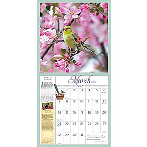 Audubon Birds in the Garden Wall Calendar 2021