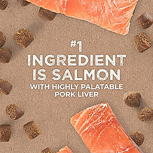 Cloud Star Tricky Trainers Soft & Chewy Dog Training Treats 14 oz Pouch, Salmon Flavor, Low Calorie Behavior Aid with 360 treats