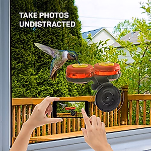 Handheld Small Glass Hummingbird Feeders (Set of 2) with Window Suction Mount Base - Window/Handheld or Tabletop Mini Hummingbird Feeders for Outdoors