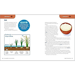 Food Anatomy Activities for Kids: Fun, Hands-On Learning