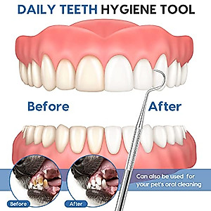 Professional Dental Tarter Scraper 100% Stainless Steel Double-Sided Hook & Angled Pick Wax & Clay Sculpting Tool (2PACK)