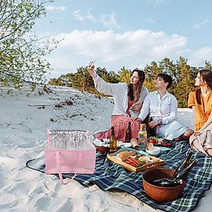 LABRIMP Cake Insulation Bag Deliveries Portable Food Insulated Bag Takeout Door Cake Insulated Bag with Handle Insulated Food Bag Cake Packaging Insulated Bag Pink Non-woven Bags