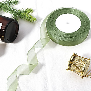 Hiswan 3/4 inch Sage Green Sheer Organza Ribbon 50 Yards Chiffon Ribbon for Gift Wrapping Christmas Halloween Decoration Wedding Flower Bouquet Crafts