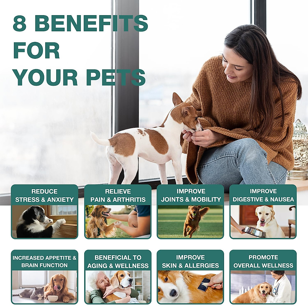 Pet Hemp Oil for Dogs & Cats Calming Joint Pain Sleep Support Anxiety Stress Cough Inflammation Relief Skin Arthritis Care Hip & Joint Supplement Dog Cat Hemp Drops Tincture, Mandarin