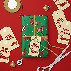 LeZakaa Christmas Green Wrapping Paper Roll - Dachshund Dressed in Festive customes, White Dots Xmas Green Design for Christmas, Holiday Party Gift Wrap - 17 inches x 16.4 Feet (23.2 sq.ft.)