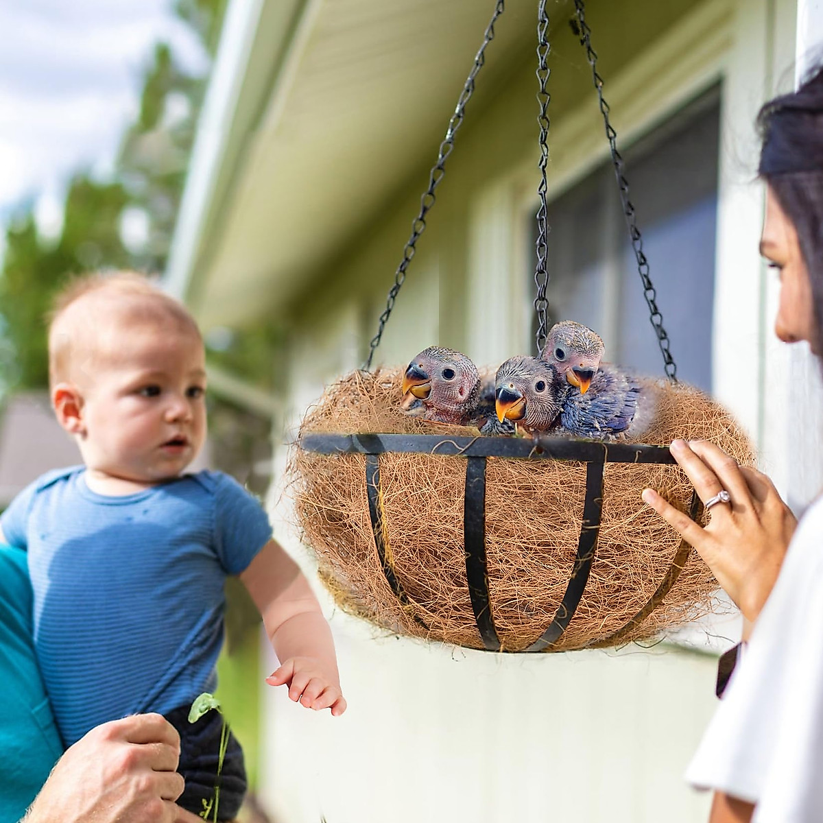 Sukh 110G Coconut Fiber for Bird Nest - Canary Nesting Material Coconut Bird Nest Finch Coconut Fiber Loose Bedding Substrate for Laying Eggs,Resting Materials for Birds, Hummingbird Parakeet