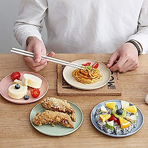 FN GRACE 6Pack 6 inch Unbreakable Lightweight Wheats Straw Plates Dinner Plates Sets-Dishwasher & Microwave Safe, Healthy Dinnerware