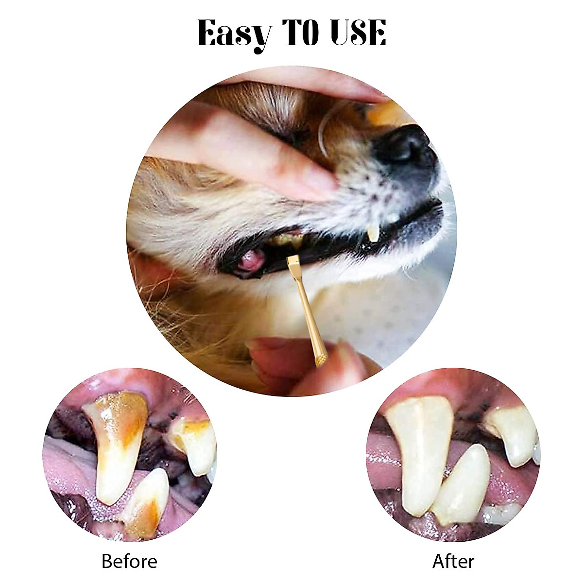 Hotop 3 Pieces Dog Dental Tooth Scaler and Scraper Stainless Double Headed Tarter Remover Scraper Pet Teeth Cleaning Tools for Dog and Cat (Gold)