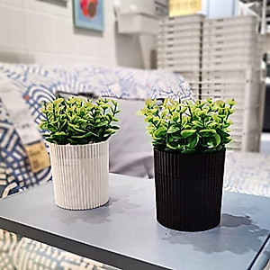 YCROJBK Denture Bath, Invisible Denture Case Designed As Artificial Eucalyptus Potted Plants, Denture Cup With Strainer For Retainer, Mouth Guard & Dentures, Perfect For Home Decoration