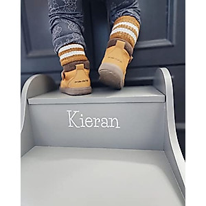 Dibsies Step Stool with Storage (Pink)