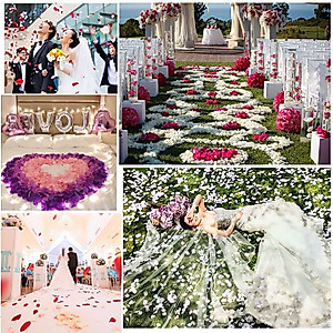 PASYOU 2000 Pcs Silk Petals, Artificial Rose Flower Petal Vase Home Decor Wedding Bridal Valentine's Day Decoration Garden Party Ceremony Wholesale - Purple White