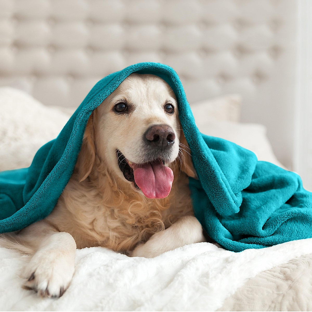 BEDELITE Fleece Blanket King Size Blankets for Bed, Luxury Plush Cozy Fuzzy Blanket 108x90 inches, Super Soft Warm Lightweight Throw Blanket All Seasons Suitable, Bluebird