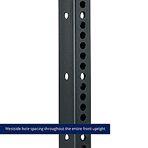Titan Fitness T-3 Series 82-inch Wall Mounted Folding Power Rack, Space Savings Rack, Folds up to 5â€ from the Wall