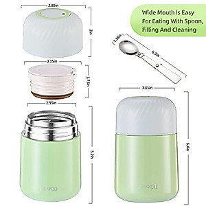 FEWOO Food Thermos - 20oz Vacuum Insulated Soup Container, Stainless Steel Lunch box for Kids Adult, Leak Proof Food Jar with Folding Spoon for Hot or Cold Food (Green)