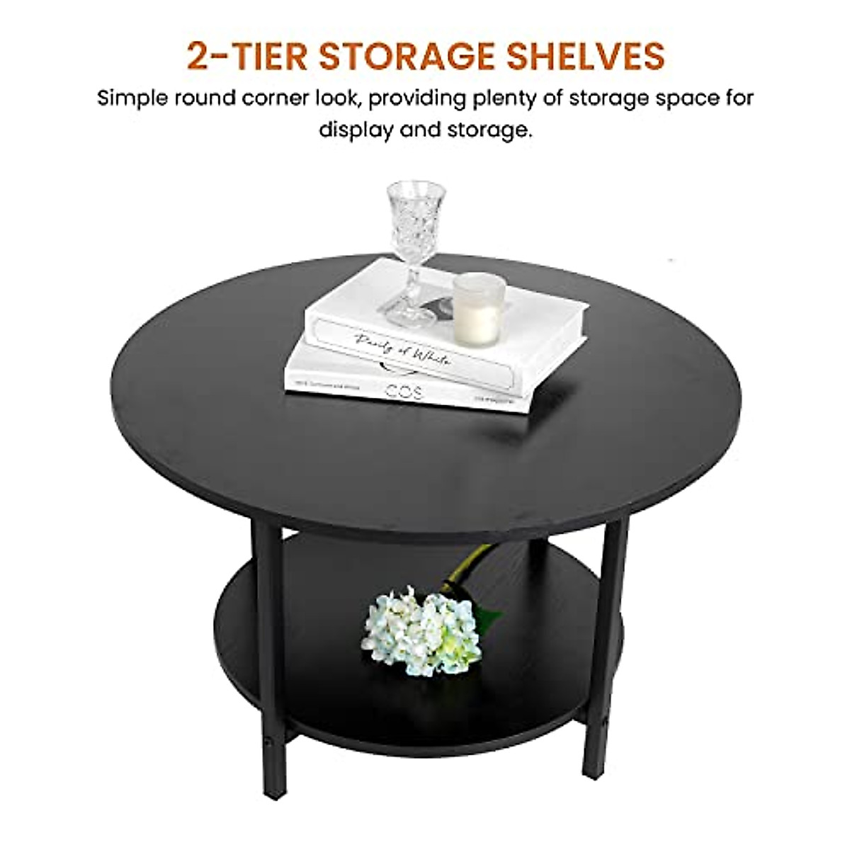 TOYSINTHEBOX Round Coffee Tables, Accent Table Sofa Table Tea Table with Storage 2-Tier for Living Room, Office Desk, Balcony, Wood Desktop and Metal Legs, Black 27.6 Inches